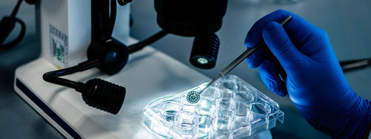 PhD Programme | Biocev