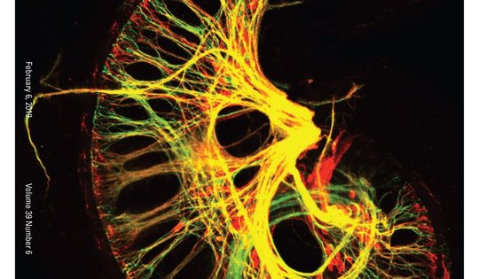 Imaging Methods | Biocev