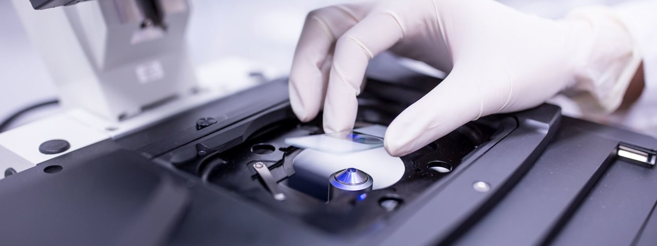 Czech bio-imaging facilities have joined Euro-BioImaging ERIC | Biocev