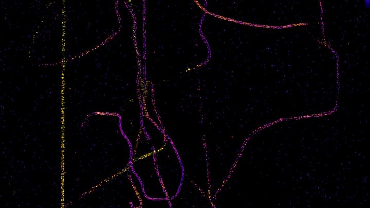 Imaging Methods | Biocev