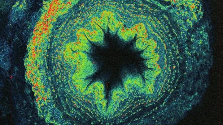 Imaging Methods | Biocev