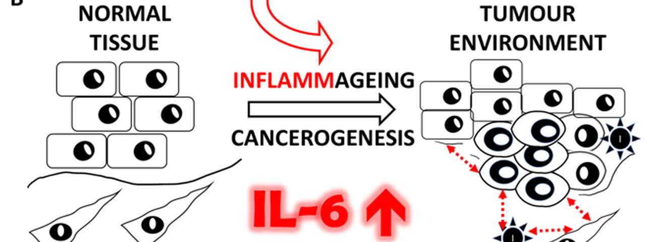 The results of our work in the media | Biocev