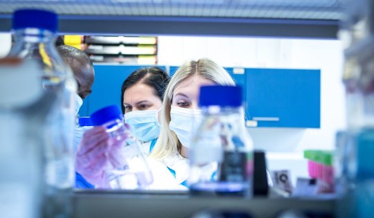 Internship at BIOCEV | Biocev