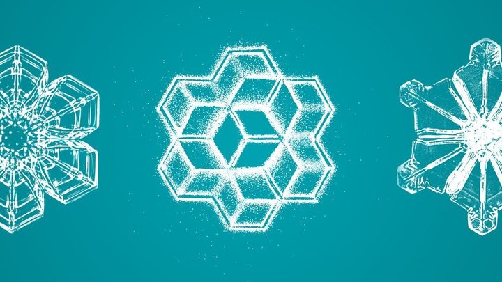 From organelles to molecules: super-resolution microscopy | Biocev