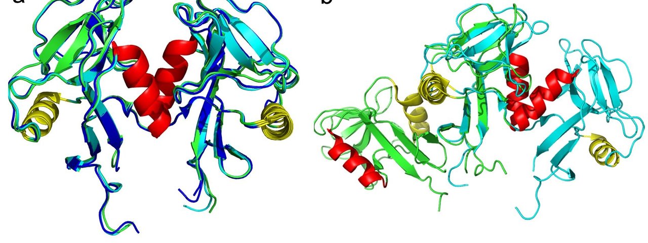 Functional clustering of surface receptors of human immune cells | Biocev