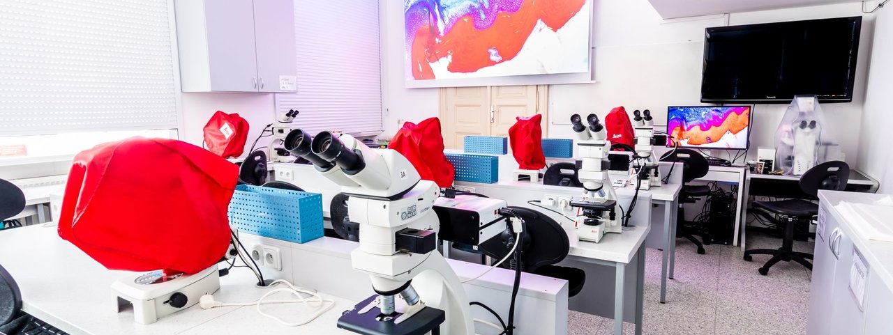 Course Laboratory methods in assisted reproduction - registration ...