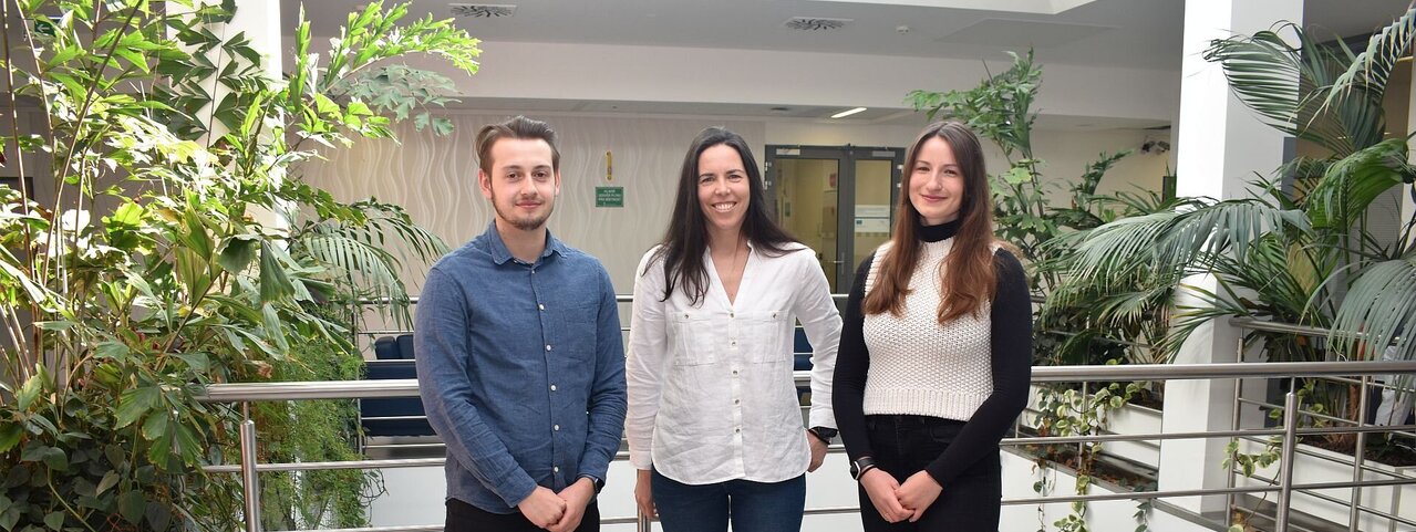 Redox-dependent protein S-glutathionylation governs azacitidine ...